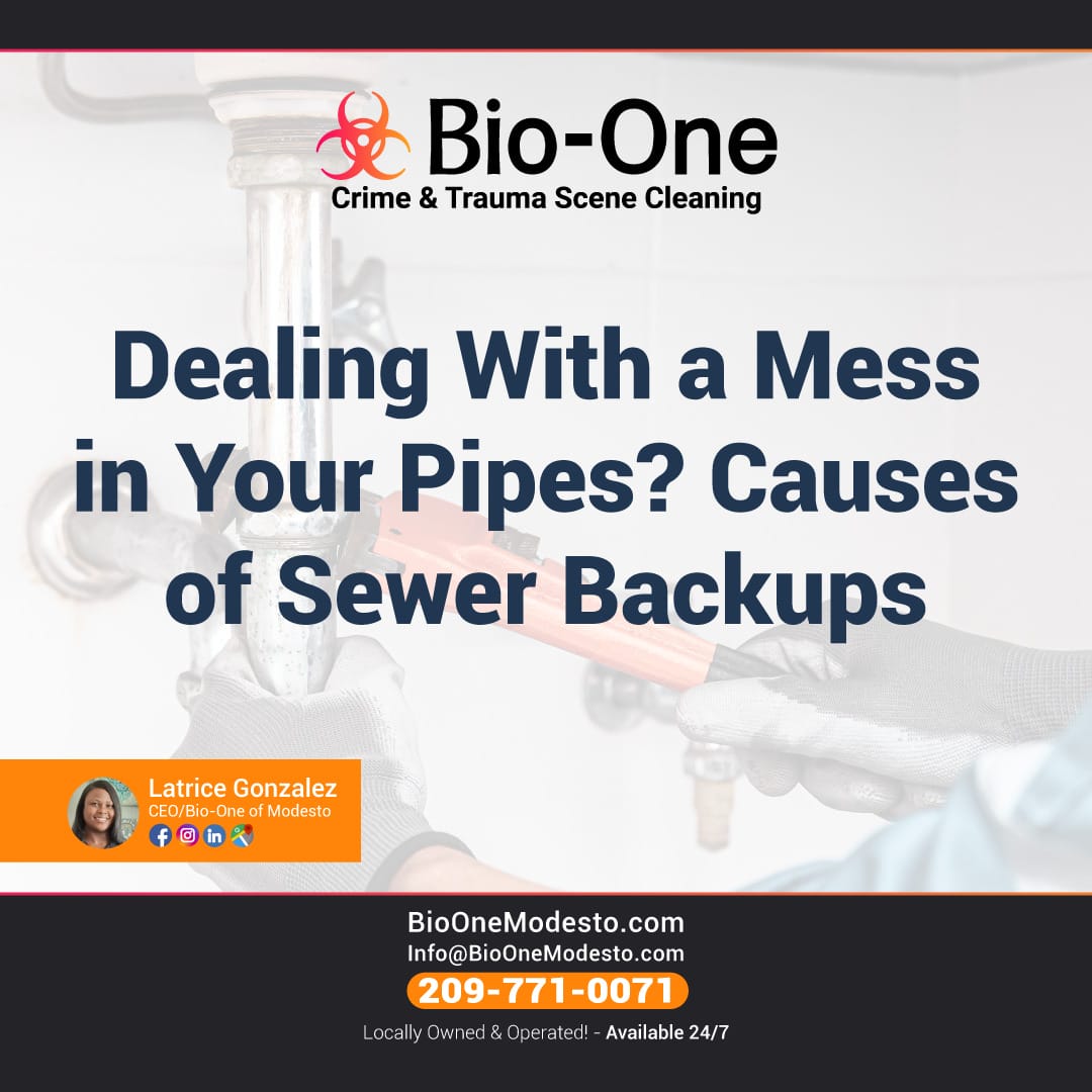 Dealing With a Mess in Your Pipes? Causes of Sewer Backups - Bio-One of ...